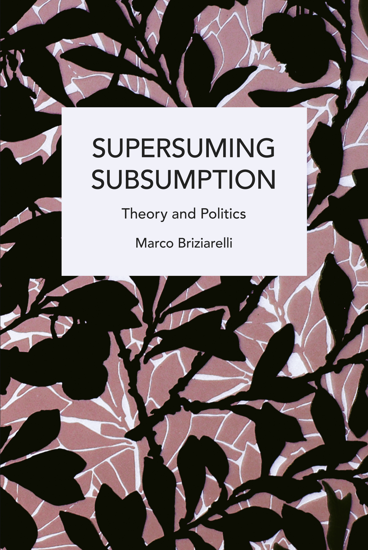Supersuming Subsumption: Theory and Politics | HaymarketBooks.org